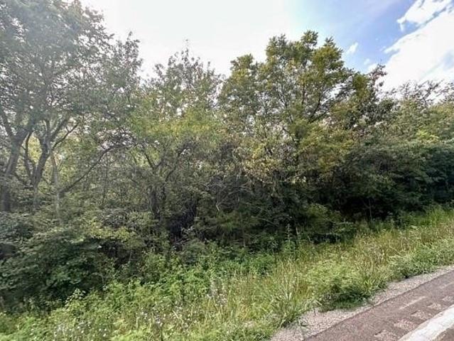 69 Highway, Turney, MO 64493
