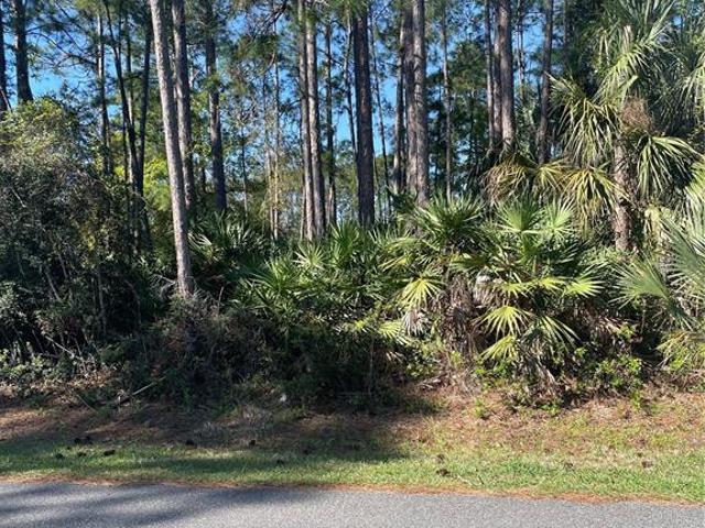 69 Lindsay Dr, Palm Coast, FL 32137 | MLS #FC317116 | Compass