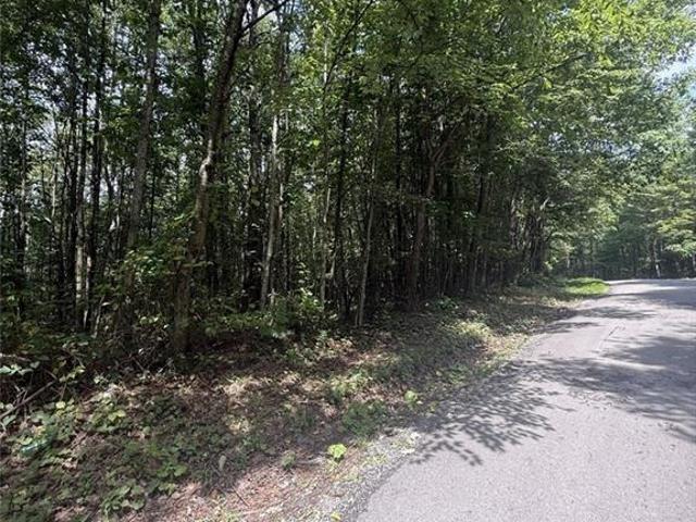 69 Mt Tabor Rd, Connellsville, PA 15425 | MLS #1716