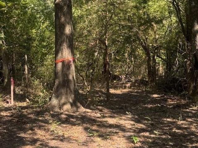 69 N Highway 69, Greenville, TX 75401 | MLS #21073