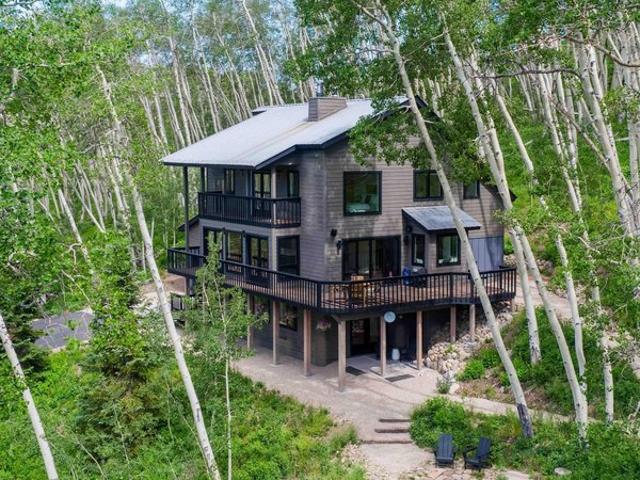 69 Peeler Ln, Crested Butte, CO 81224