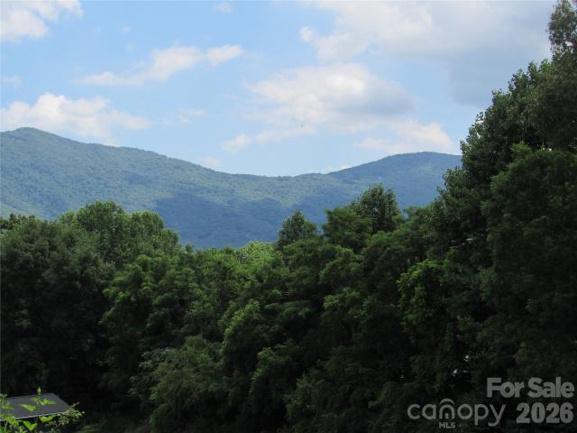 6 Mystic View Ln, Black Mountain, NC 28711 | MLS #4335