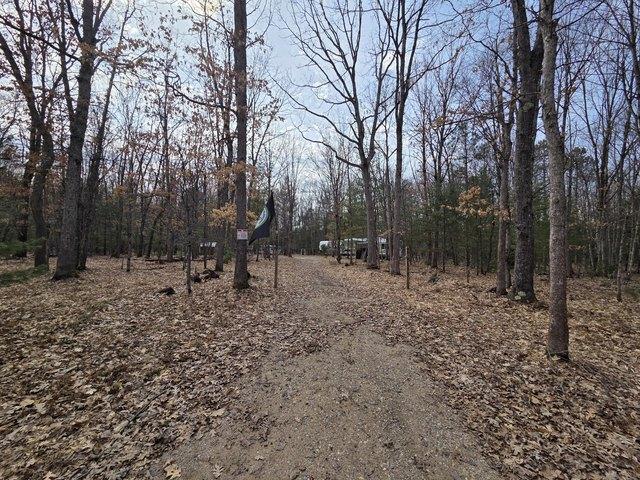 6 Mile Rd, Irons, MI 49644
