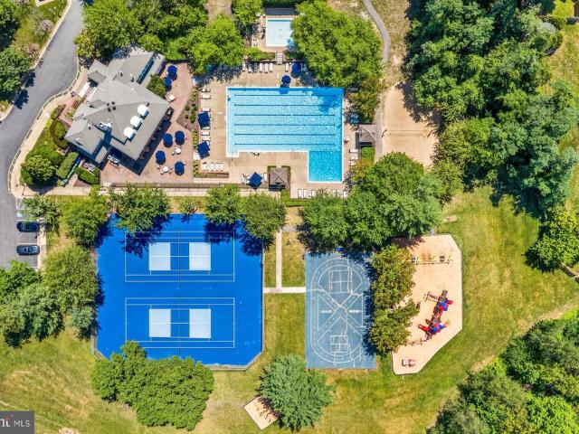 6 Monarch Court
