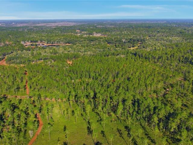 6 NE 115th Ave, Fort McCoy, FL 32134 | MLS #OM715902