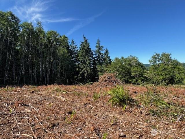 6 Nelson Rd, Winlock, WA 98596 | MLS #2400