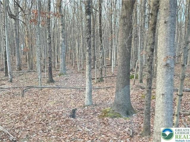 6 Occonquan Trl Unit 1723, Penn Forest Township, PA 18210
