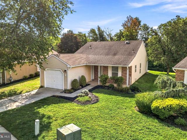 6 Avandale Court