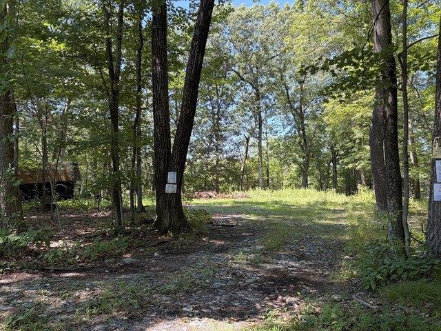 6 A Durkee Ln, Westford, MA 01886