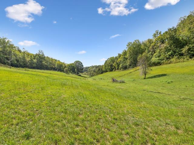 6 A Young Rd, Pulaski, TN 38478 | MLS #3034 | Compass