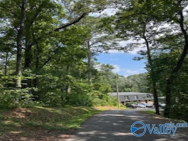 6 Ac Alford St, Guntersville, AL 35976