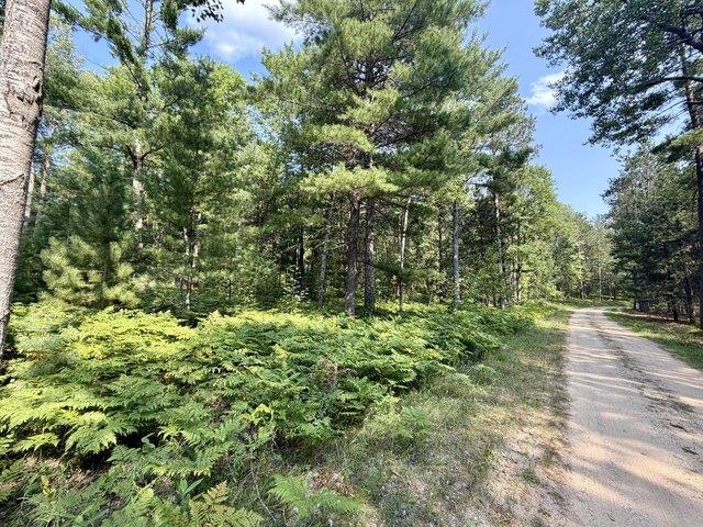 6 Acres Nature Ridge Trl, Vanderbilt, MI 49795