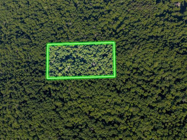 6+/ Acres County Road 250