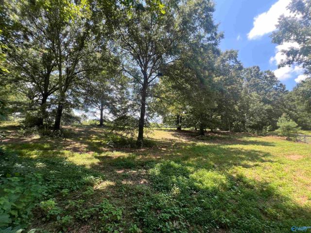 6 acres County Road 257