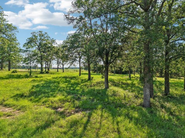 6 Acres County Road 211