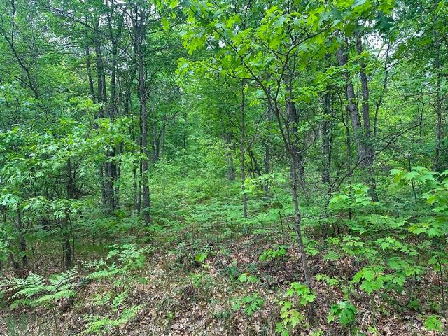 6 Acres Easement Road