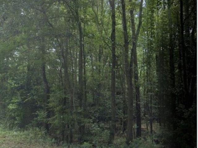 6 Acres Woodberry Ln, North Augusta, SC 29841