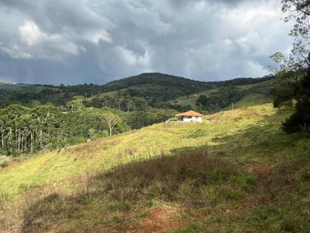 6 ALQ de terra com CASA, VISTA incrível e platôs naturais para construção em Gonçalves