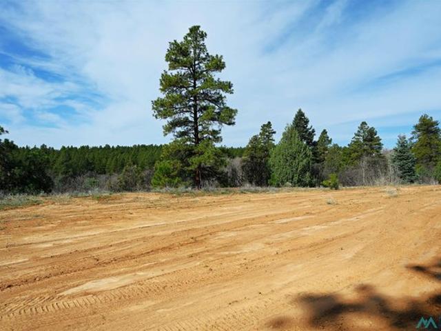 6 Badger Rd, Chama, NM 87520