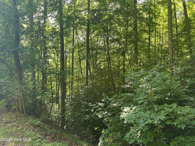 6 Bartram Trail Road