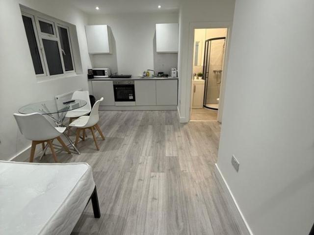 6 Bed Semi Detached House, Hill House Road, SW16