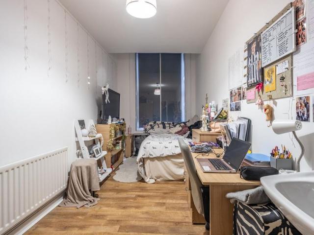 6 bedroom apartment to rent