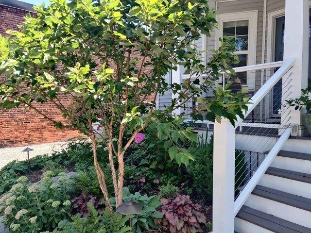 6 bedroom, Arlington MA 02474 102446650