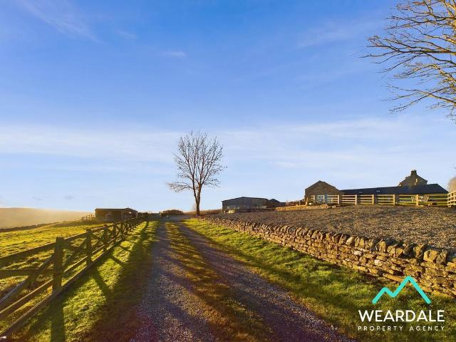 6 bedroom detached house for sale