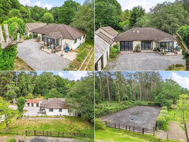 6 bedroom equestrian facility for sale