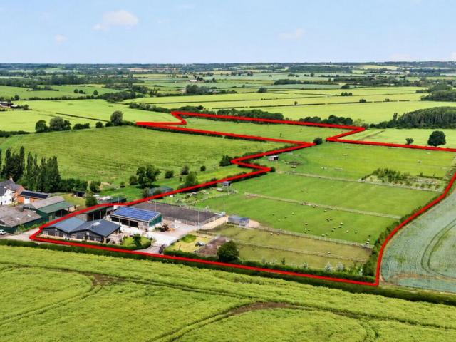 6 bedroom equestrian facility for sale