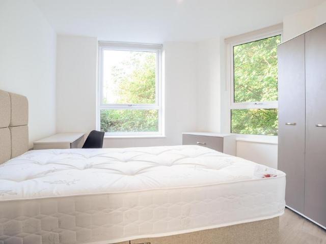 6 bedroom flat to rent