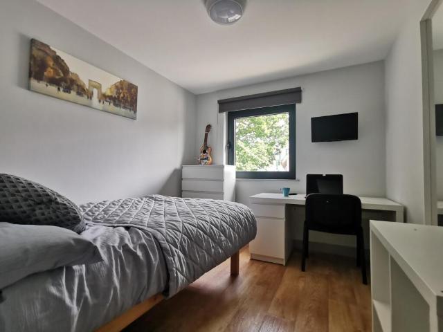 6 bedroom flat to rent