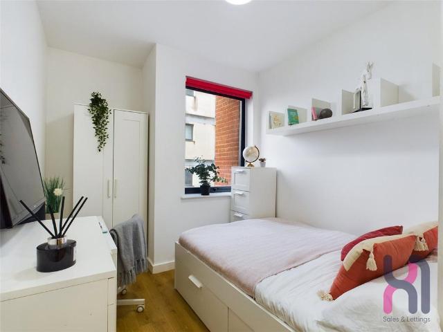 6 bedroom flat to rent