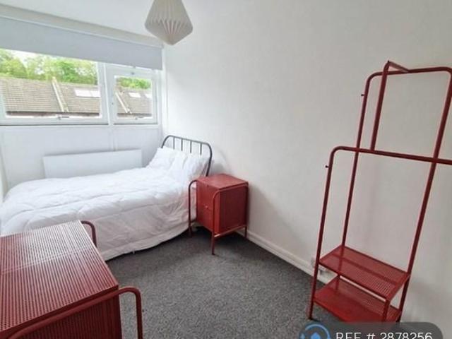6 bedroom flat to rent