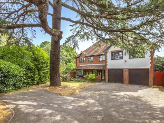 6 Bedroom House