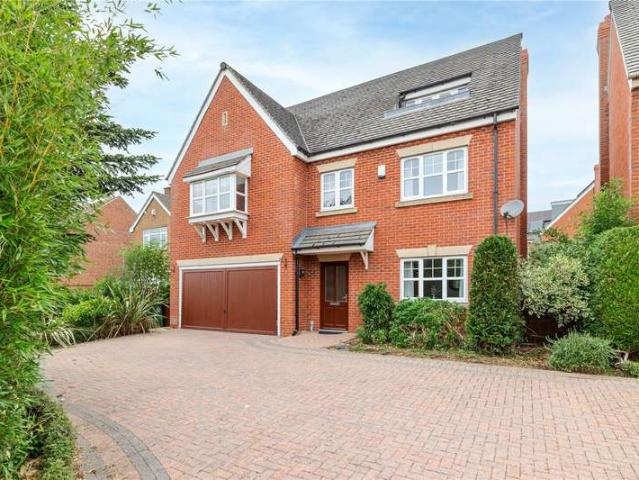 6 Bedroom House
