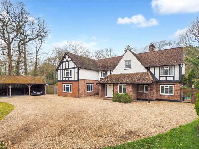 6 Bedroom House