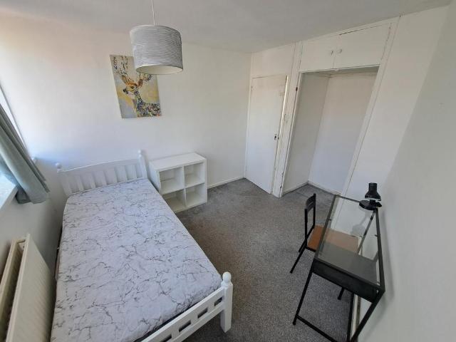 6 bedroom house share to rent
