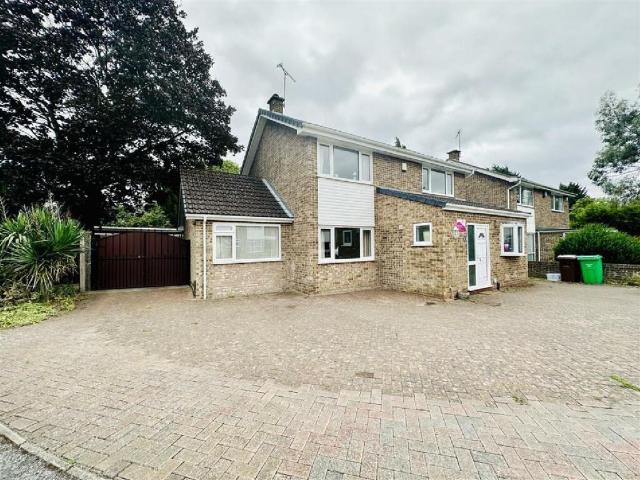 6 bedroom house share to rent