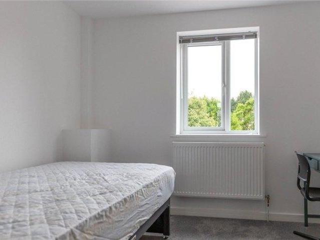 6 bedroom house share to rent