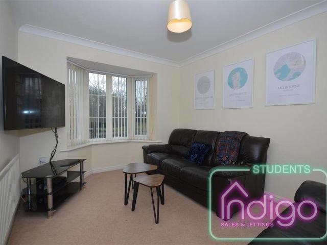 6 bedroom house share to rent