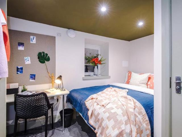 6 bedroom house to rent