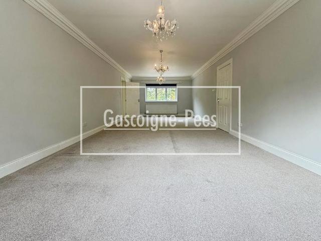 6 bedroom house to rent