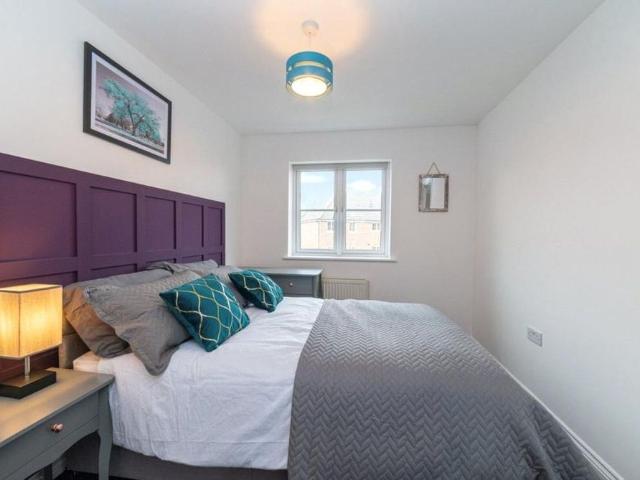 6 bedroom house to rent