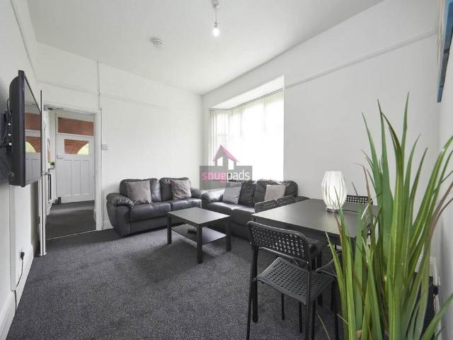 1 bedroom house to rent