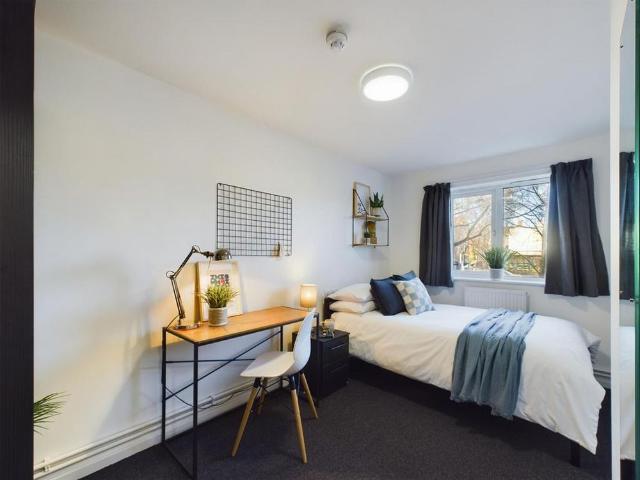 6 bedroom house to rent