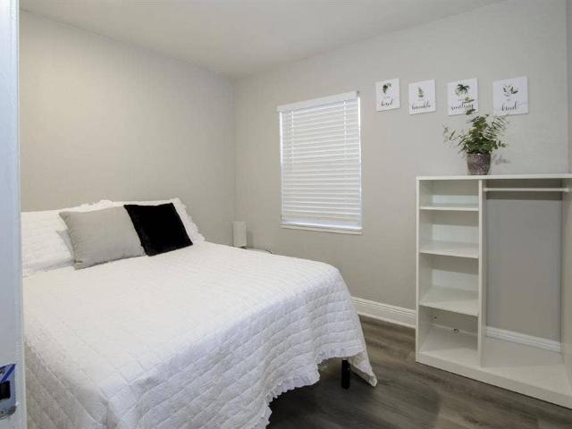 7 BR in Tampa