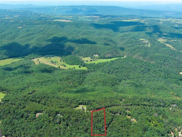 6 Cacapon View