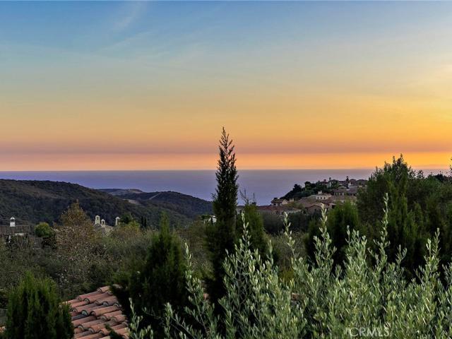 6 Canyon Peak, Newport Coast, CA 92657 | Compass