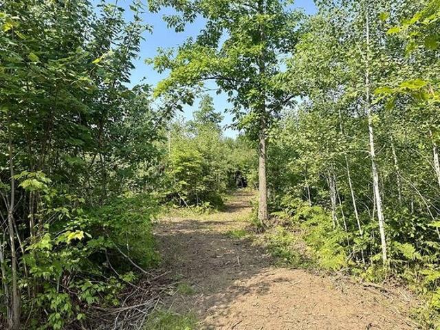 6 County Road T, Danbury, WI 54830